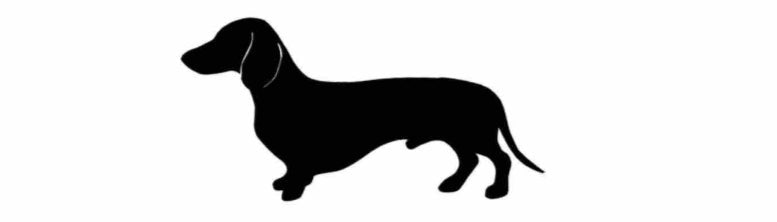 PABLO Dog Brand – PABLO dog brand